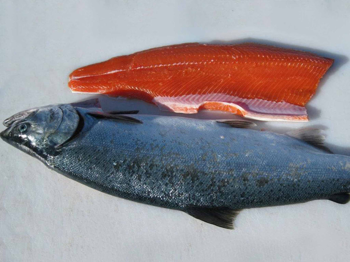 Local Delivery - Cold Country Salmon