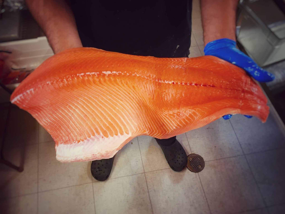 Shipped Share Orders - Biggest Discount Of The Year - Cold Country Salmon